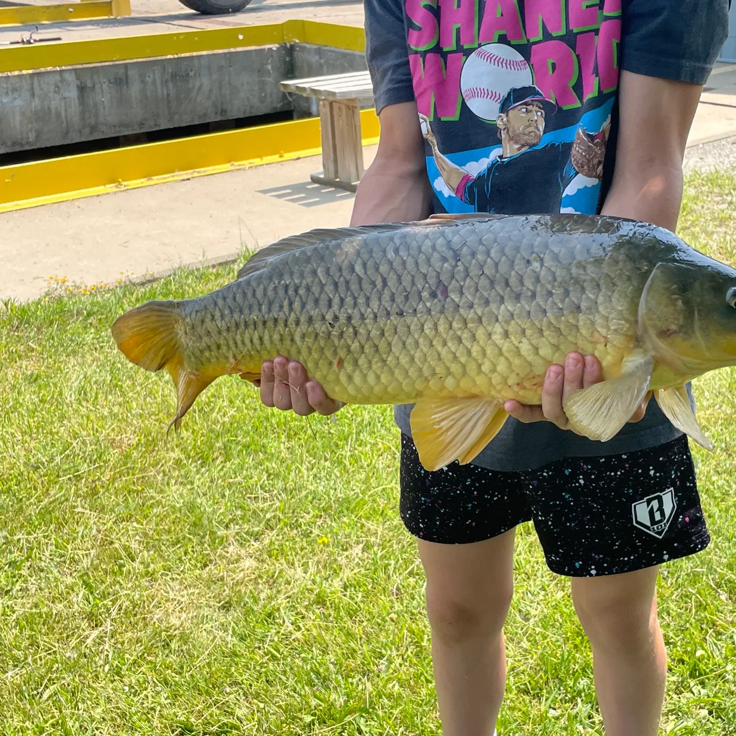 ᐅ Mentor Harbor fishing reports🎣• Mentor, OH (United States) fishing