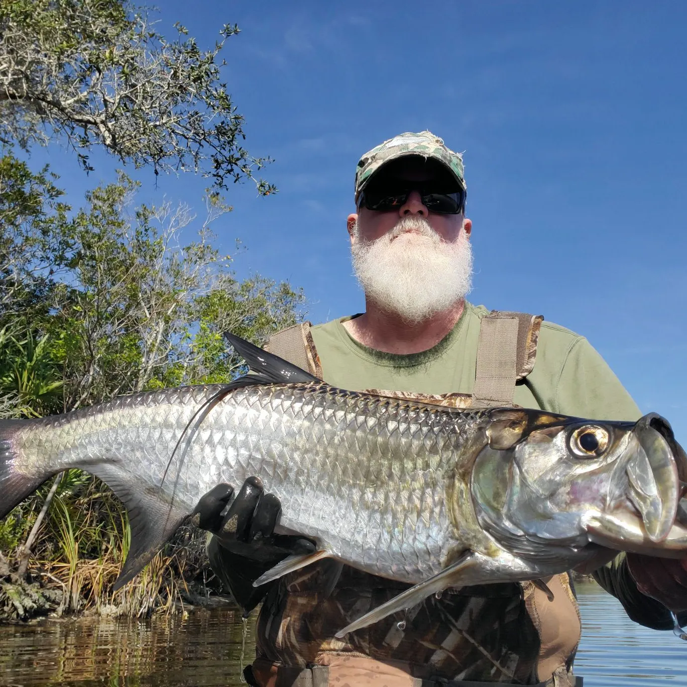 ᐅ Sebastian Inlet fishing reports🎣• Sebastian, FL (United States) fishing