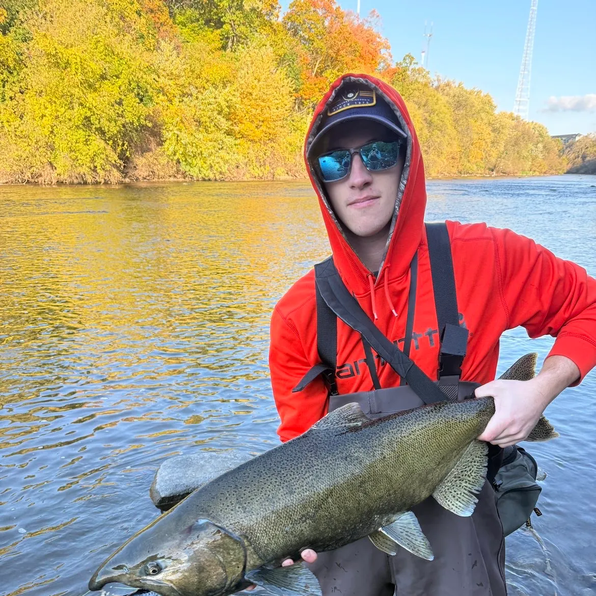 ᐅ Milwaukee River fishing reports🎣• Grafton, WI (United States) fishing