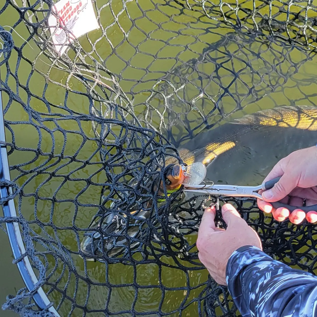 ᐅ Pymatuning Reservoir fishing reports🎣• Meadville, PA (United States ...