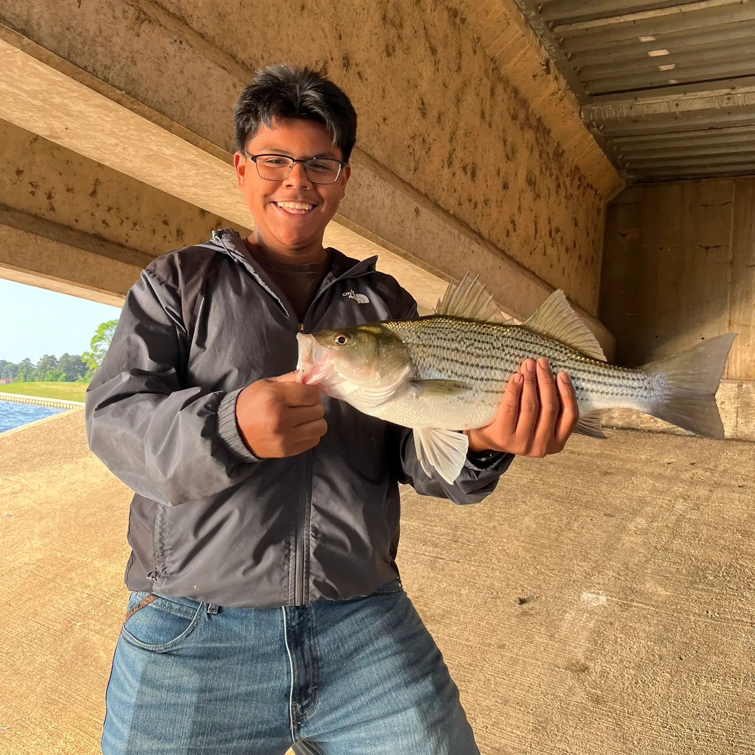 ᐅ Lake Palestine fishing reports🎣• Tyler, TX (United States) fishing