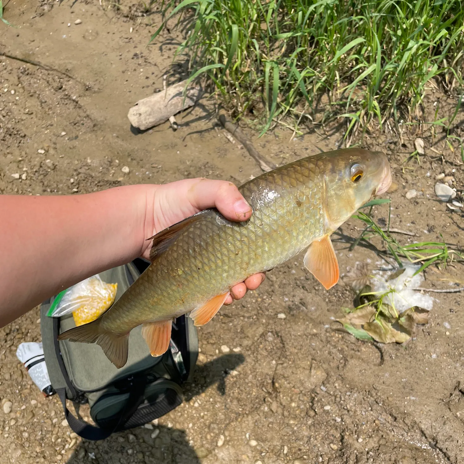 Fishing in Dayton, OH (United States) ️️️️ Find Spots, Species & Tips