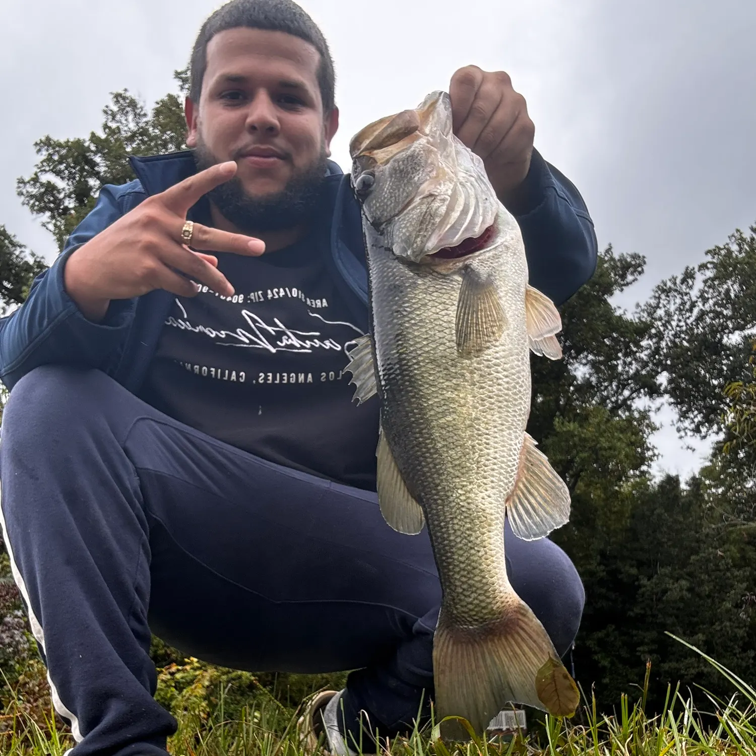 Fishing in Raleigh, NC (United States) ️️️️ Find Spots, Species & Tips