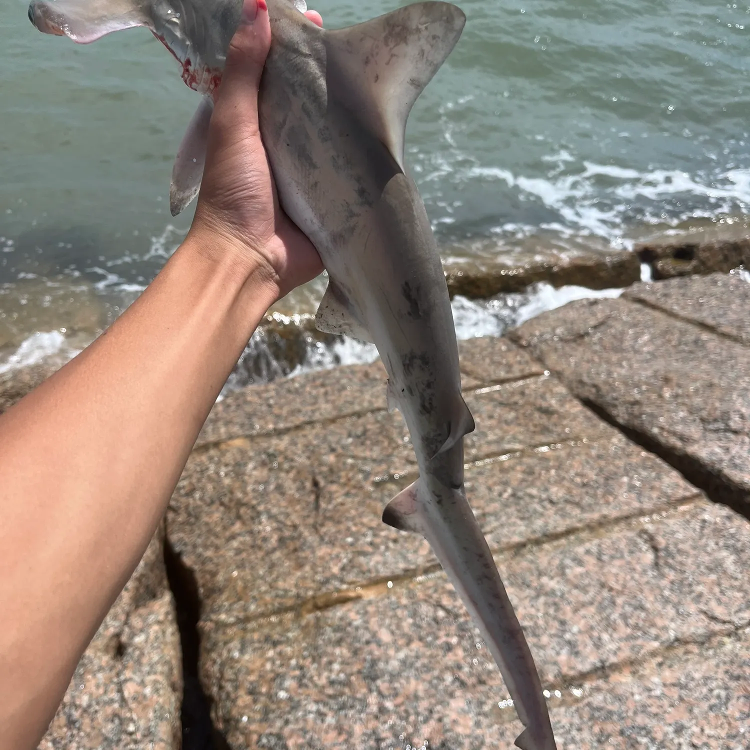 ᐅ Surfside Jetty Park fishing reports🎣• Freeport, TX (United States ...