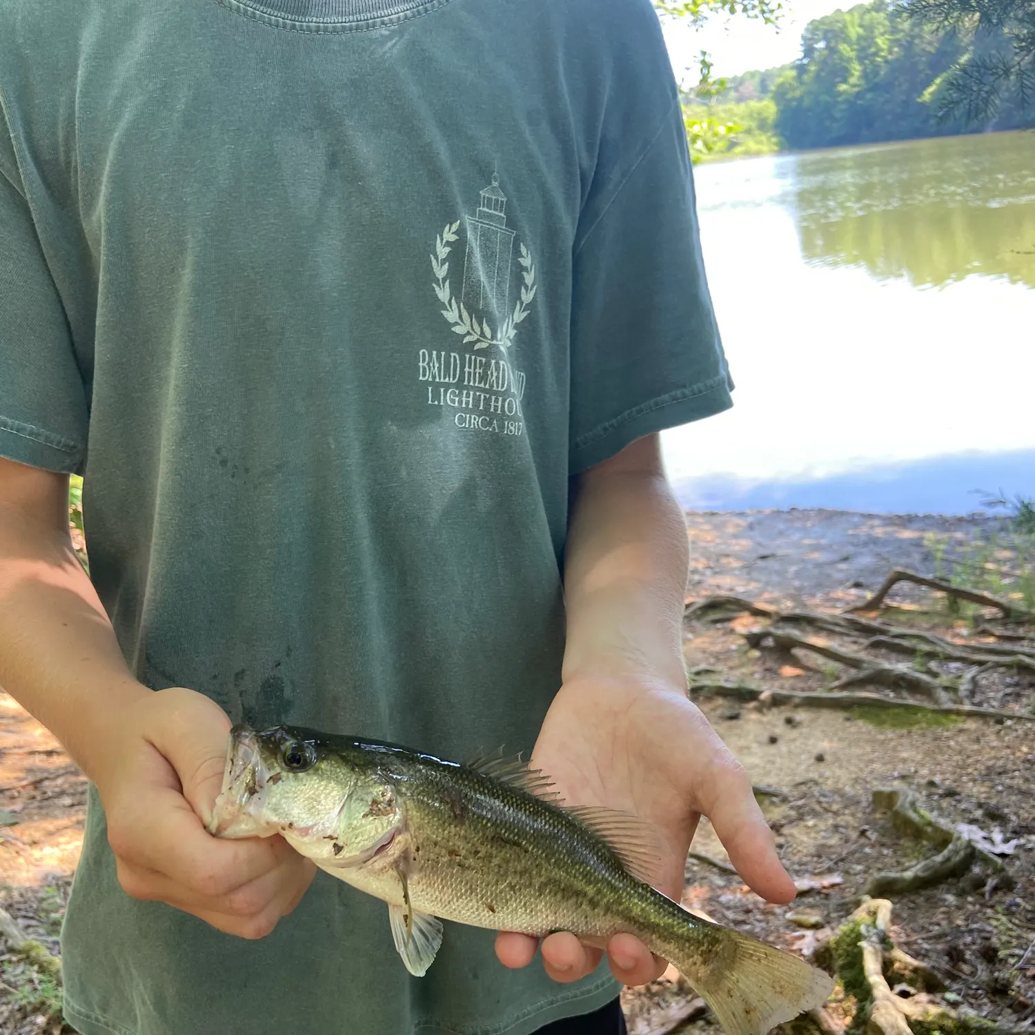 Fishing in Raleigh, NC (United States) ️️️️ Find Spots, Species & Tips