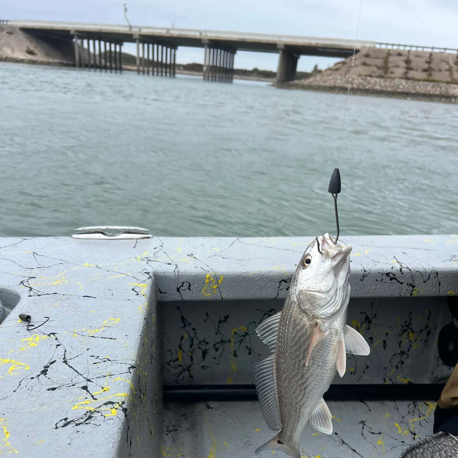 ᐅ Packery Channel fishing reports🎣• Corpus Christi, TX (United States ...