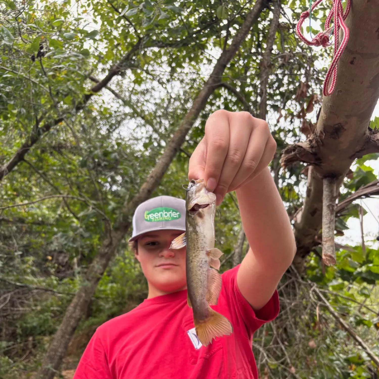 Fishing in Augusta, GA (United States) ️️️️ Find Spots, Species & Tips