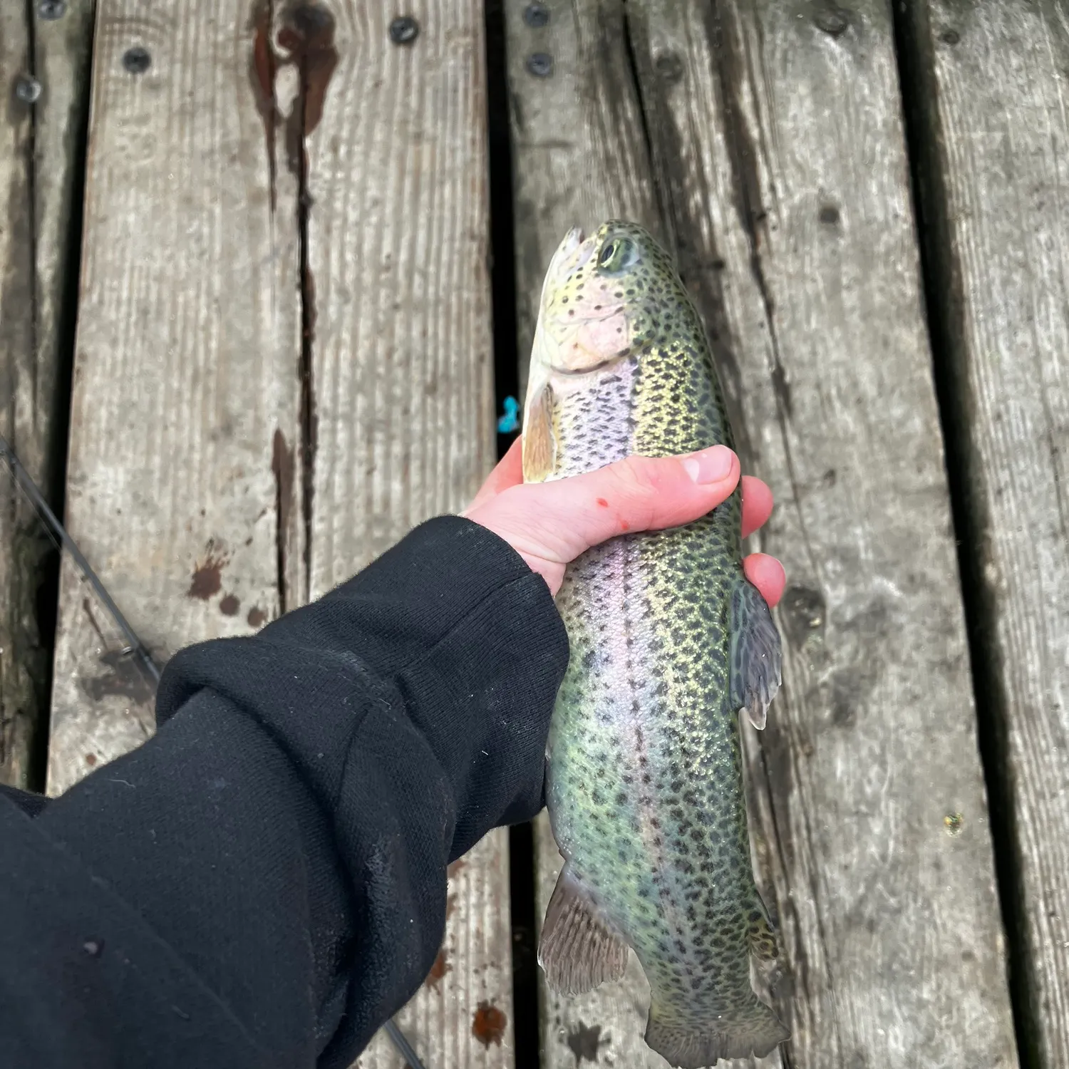 Fishing in Caldwell, ID (United States) ️️️️ Find Spots, Species & Tips