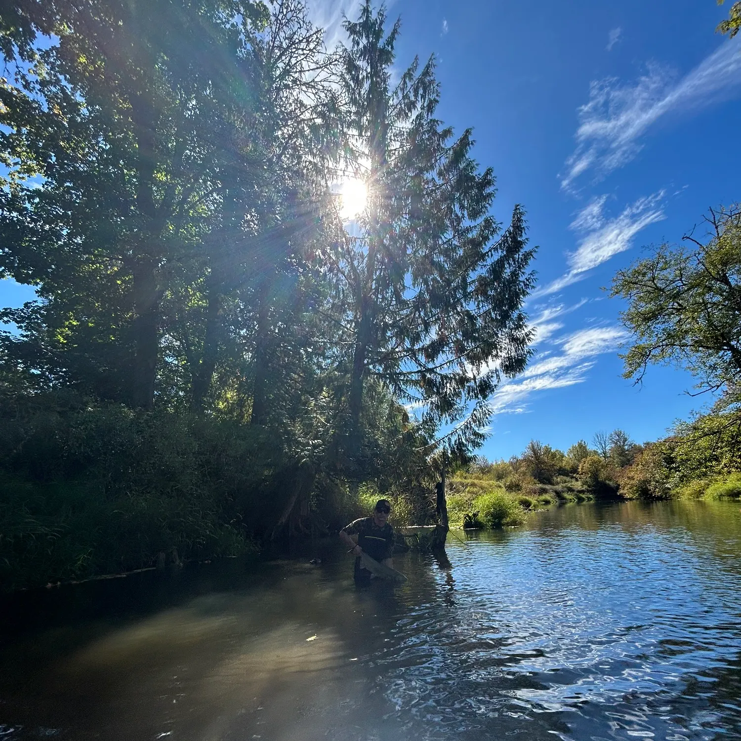 ᐅ Chehalis River fishing reports🎣• Centralia, WA (United States) fishing
