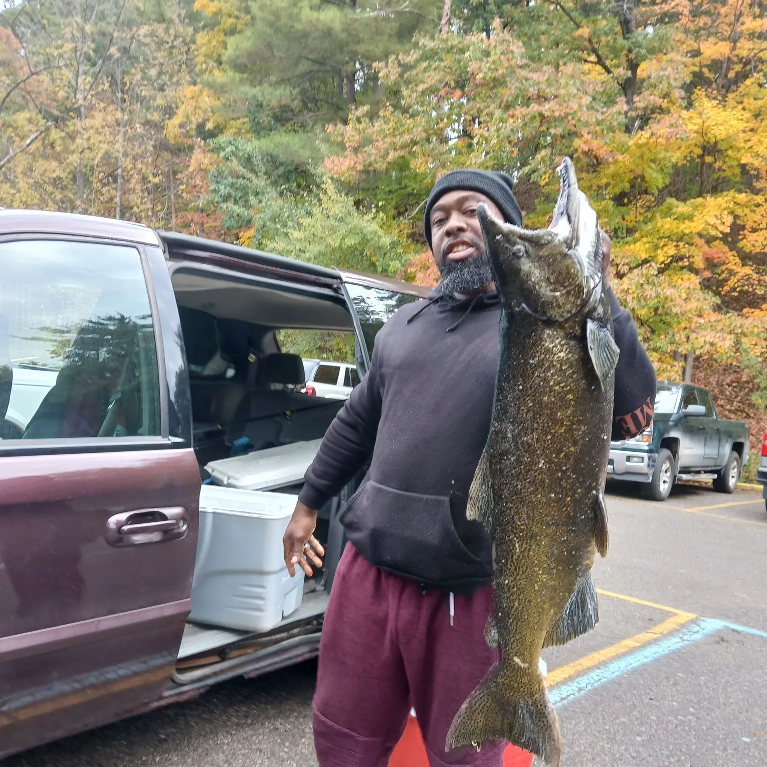 ᐅ Tippy Dam Pond fishing reports🎣• Cadillac, MI (United States) fishing