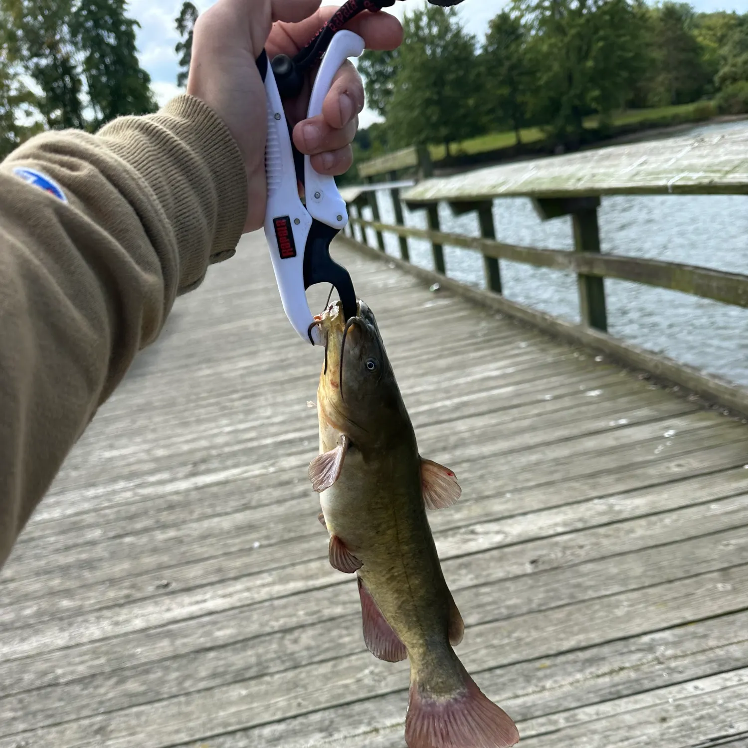 ᐅ Pymatuning Reservoir fishing reports🎣• Meadville, PA (United States ...