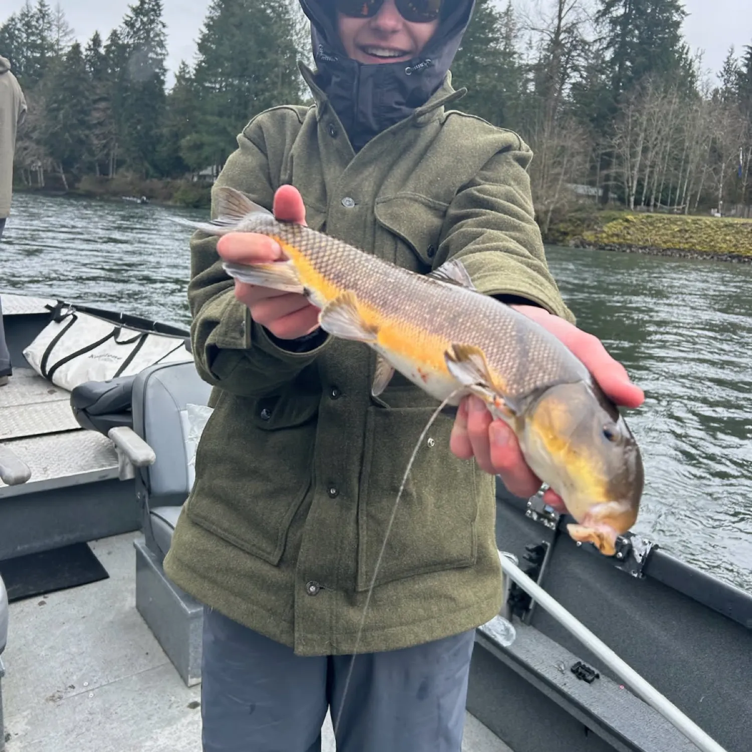 ᐅ Cowlitz River fishing reports🎣• Longview, WA (United States) fishing