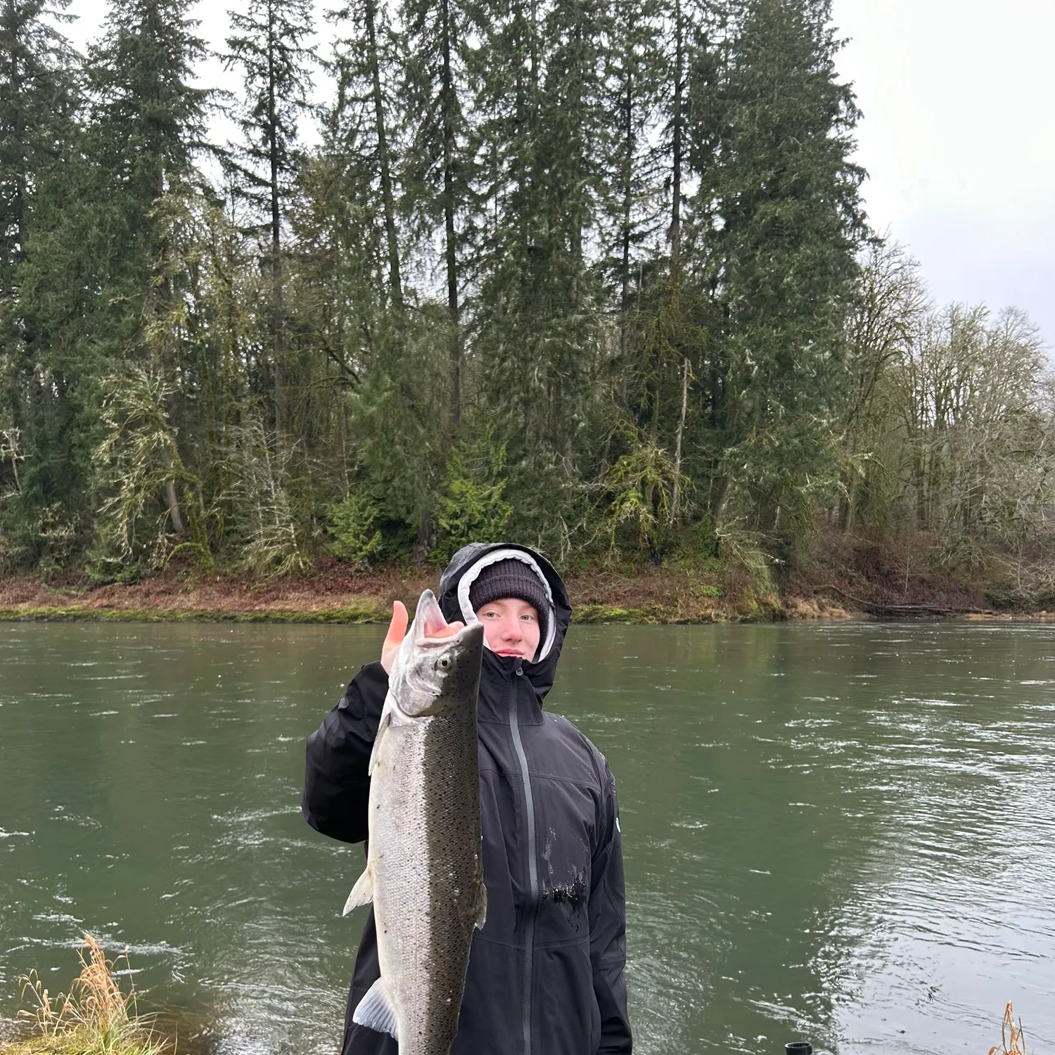 ᐅ Cowlitz River fishing reports🎣• Longview, WA (United States) fishing