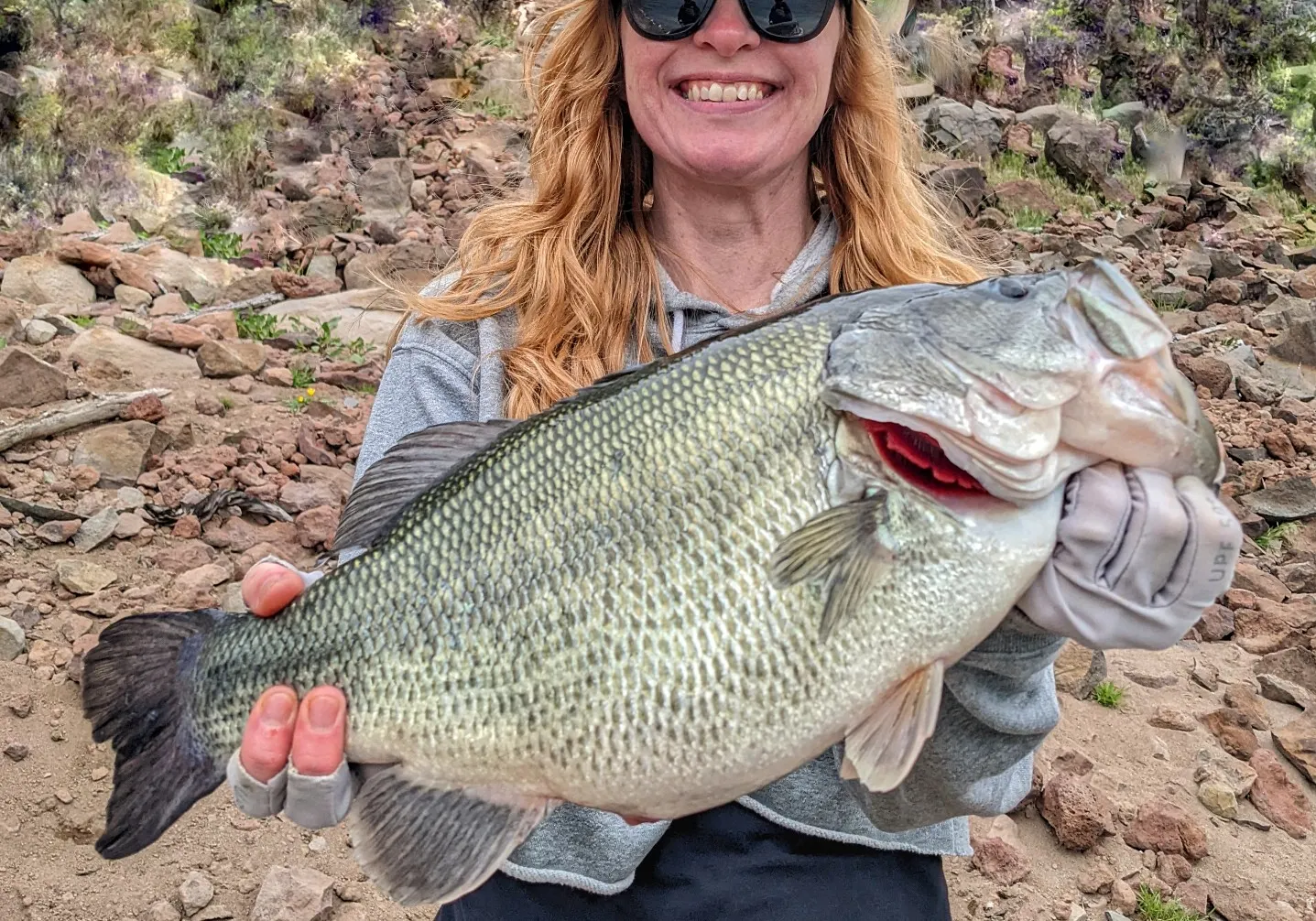 ᐅ Kent Lake fishing reports🎣• Wixom, MI (United States) fishing