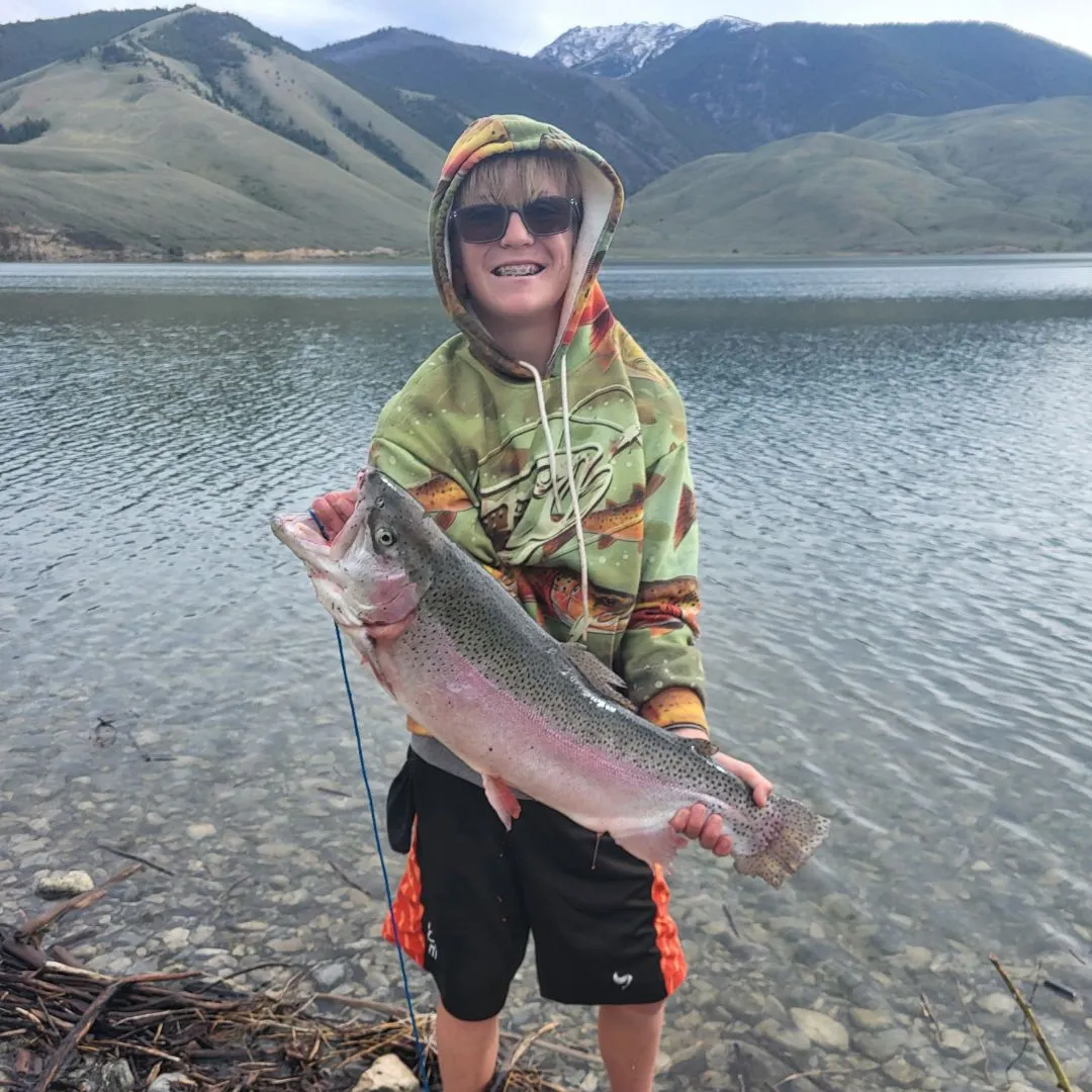 ᐅ Mackay Reservoir fishing reports🎣• Hailey, ID (United States) fishing