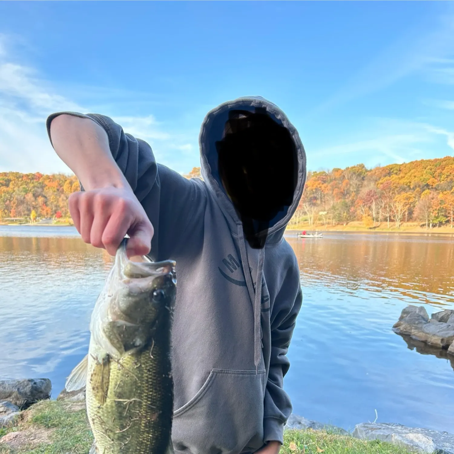 ᐅ Raystown Lake fishing reports🎣• Huntingdon, PA (United States) fishing