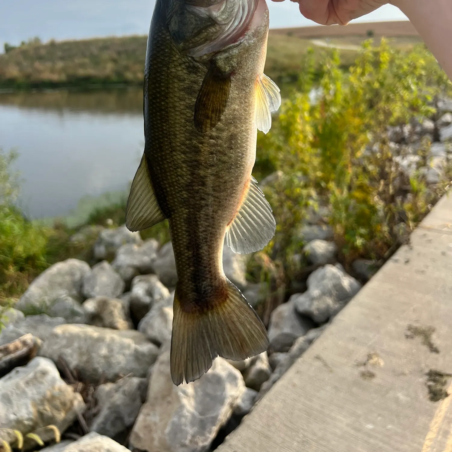Fishing in Omaha, NE (United States) ️️️️ Find Spots, Species & Tips